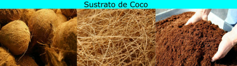 Como Hacer Sustrato de Coco: para que sirve, precio